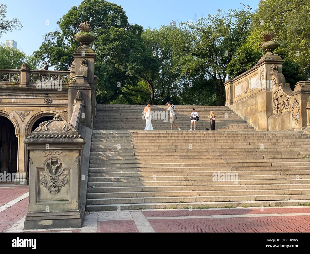 People and nature in New York City, USA Stock Photo - Alamy
