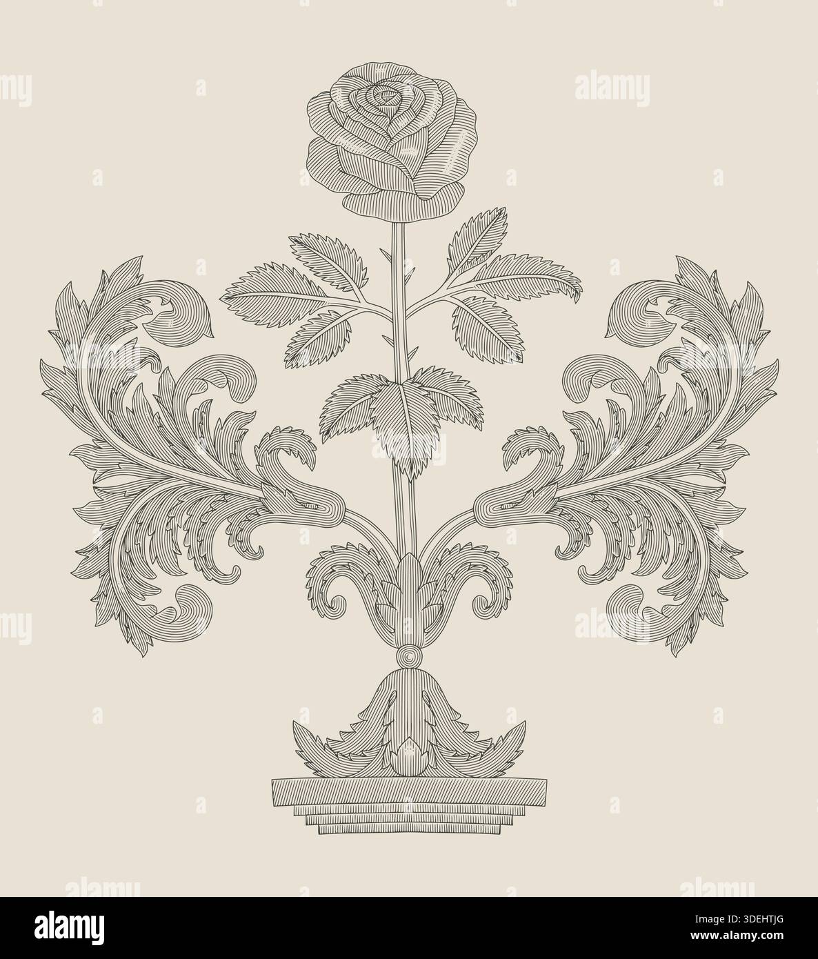 Rose and floral ornament , Vintage engraving drawing style illustration ...