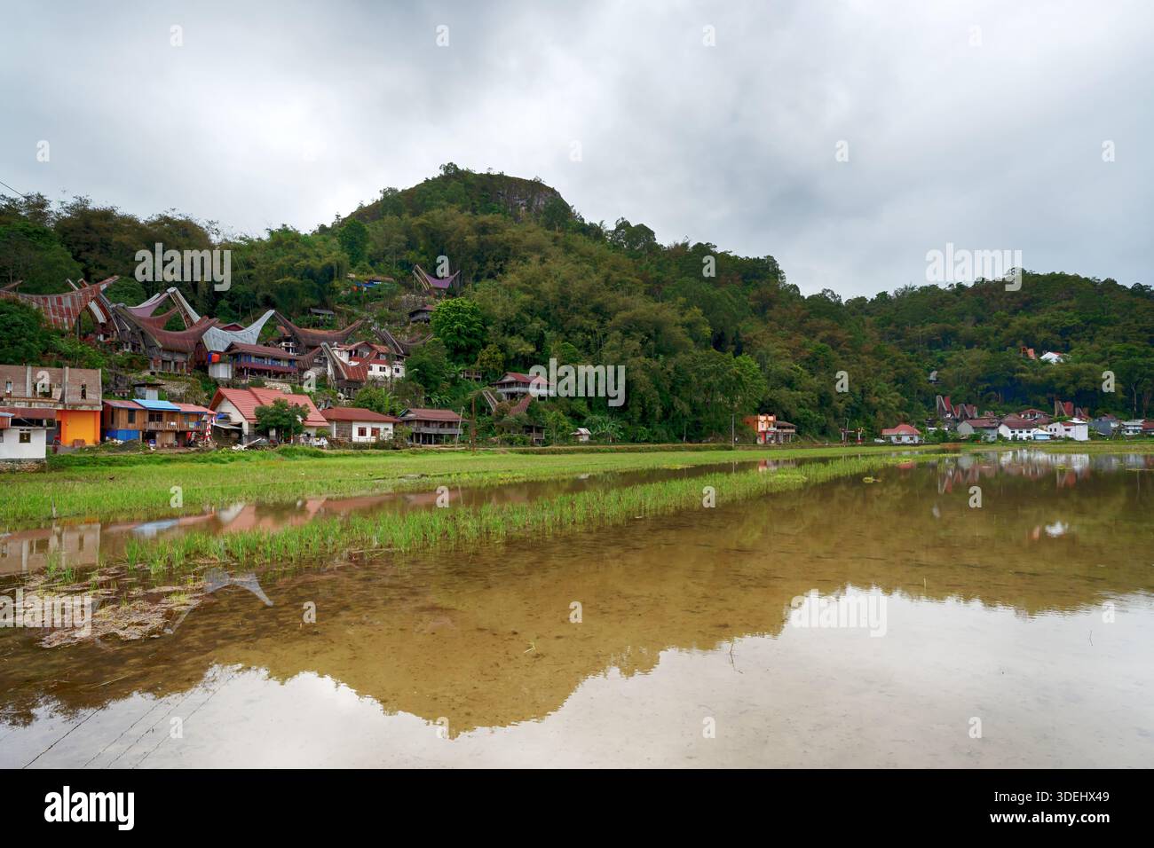 Scenery at Parinding traditional village in Sesean Tana Toraja ...