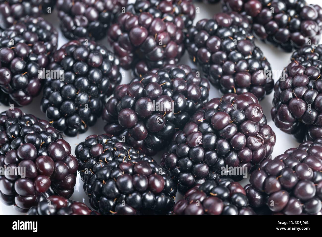 Blackberry pattern macro with glossy sheen, repeating drupelet forms ...