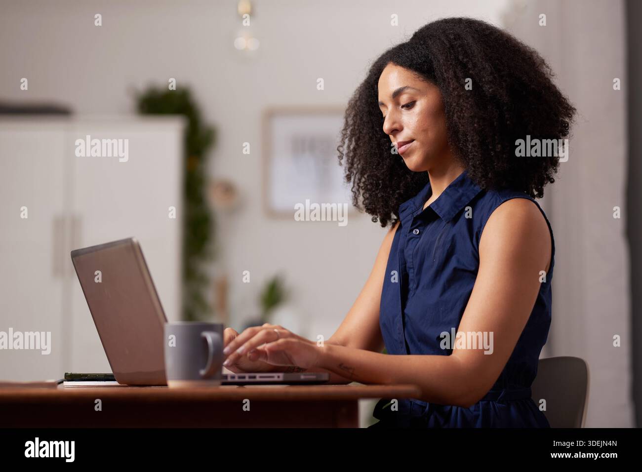 Woman working focused on laptop hi-res stock photography and images - Alamy