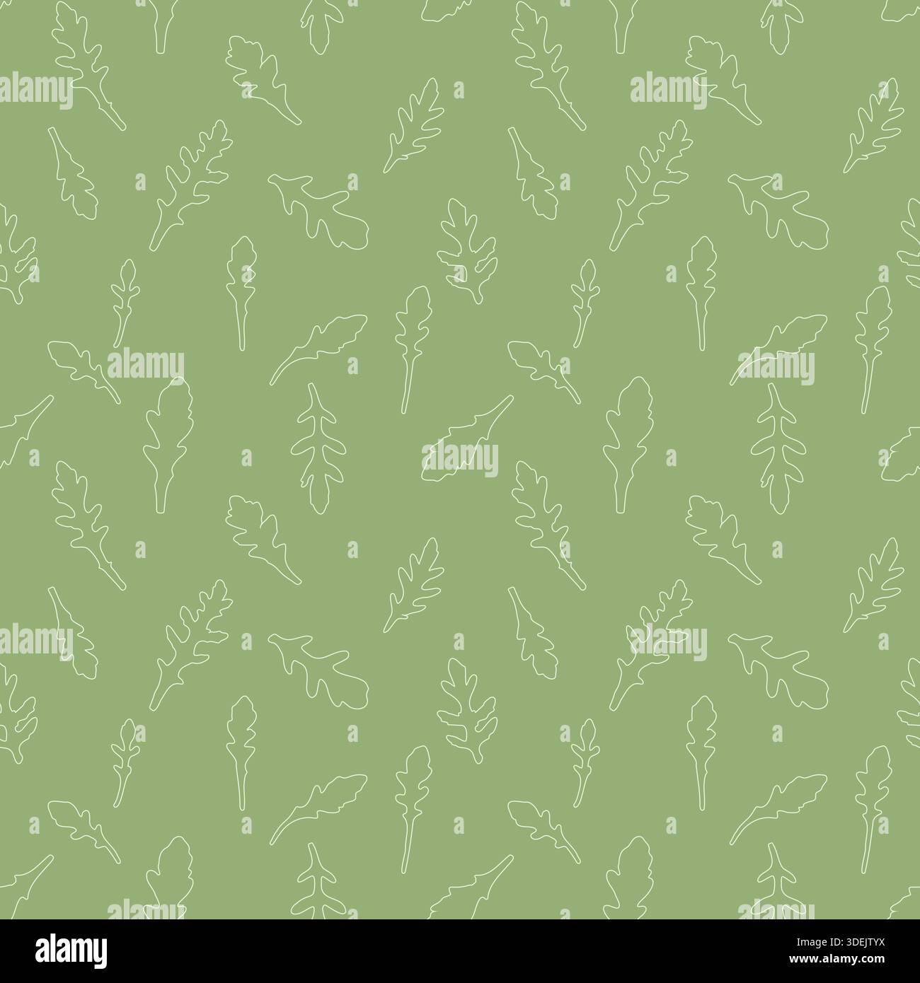 Arugula leaves green pattern, leafy vegetables. Microgreen. Outline ...