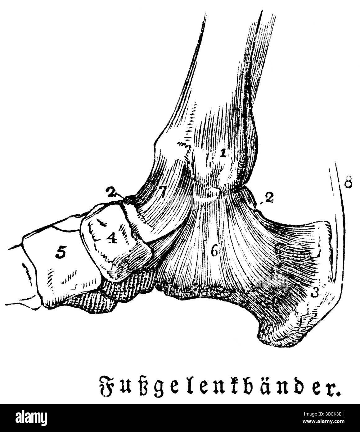 Body care man Black and White Stock Photos & Images - Alamy