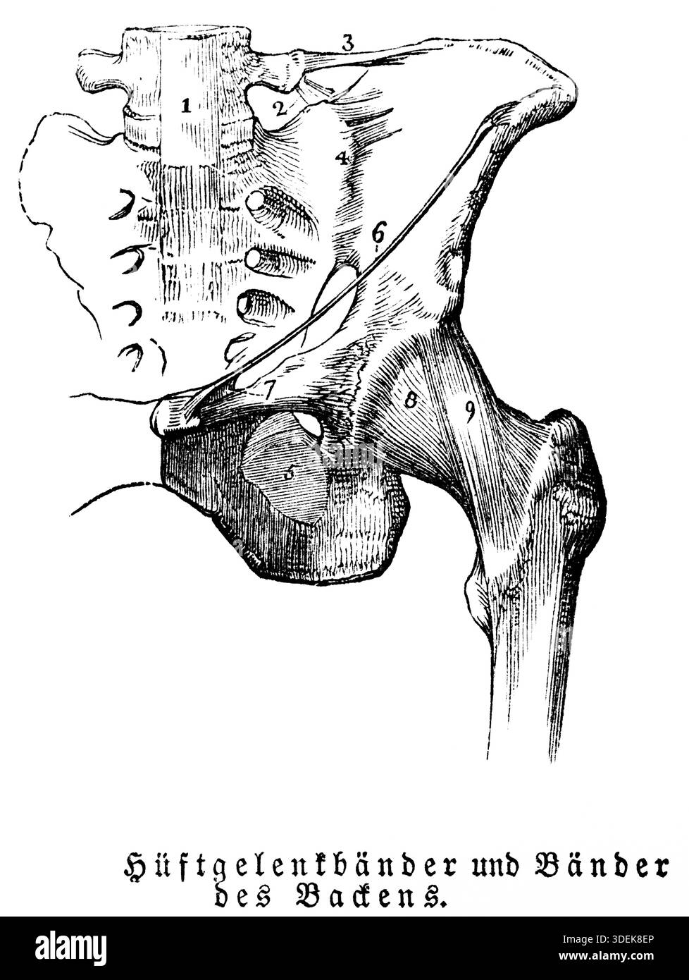 Body care man Black and White Stock Photos & Images - Alamy