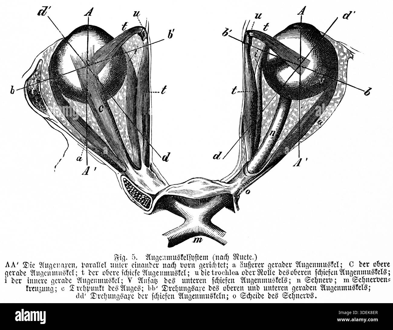Forward care Black and White Stock Photos & Images - Alamy