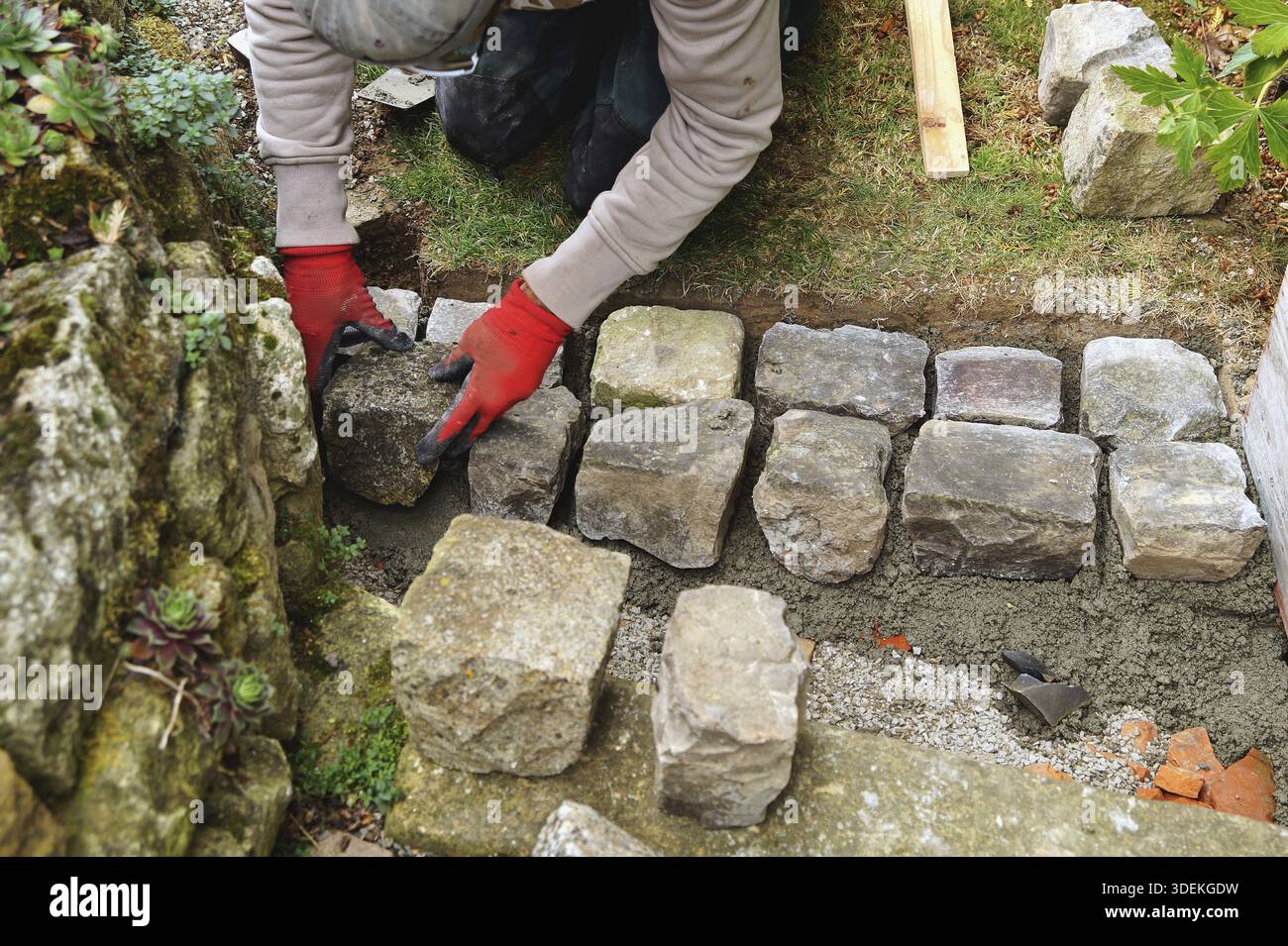 Pavement works, Cobbled pavement natural stone. gloved Hands of worker ...