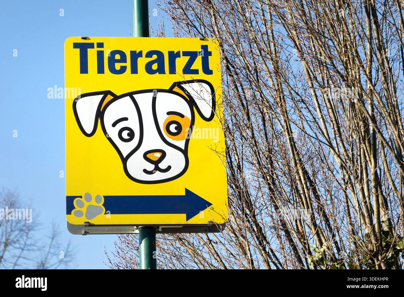Wegweiser, Tierarzt // Signpost, Veterinarian - 20251230 PD6954 Stock ...