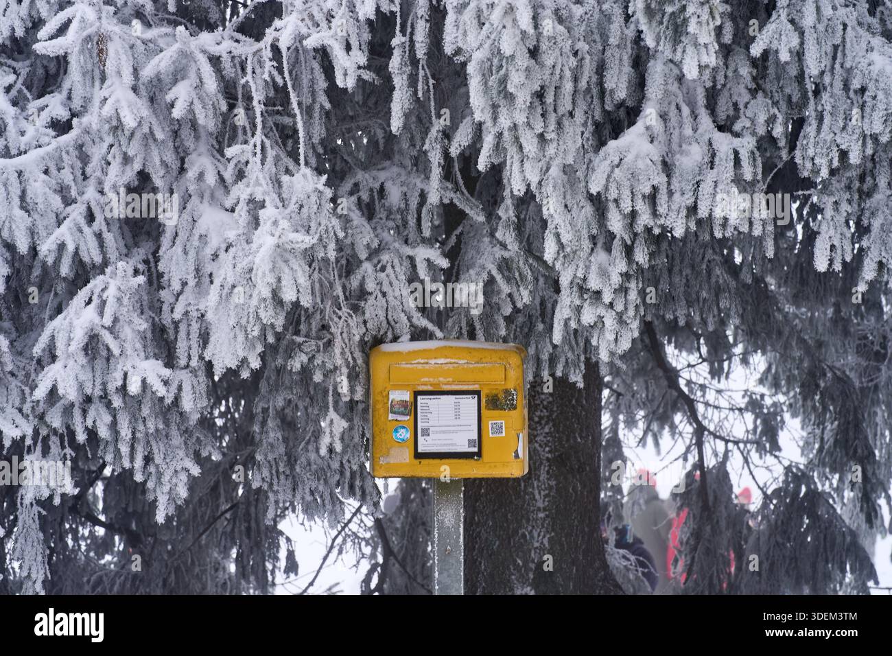 A mailbox stands under a frozen tree in Oberreifenberg near Frankfurt ...