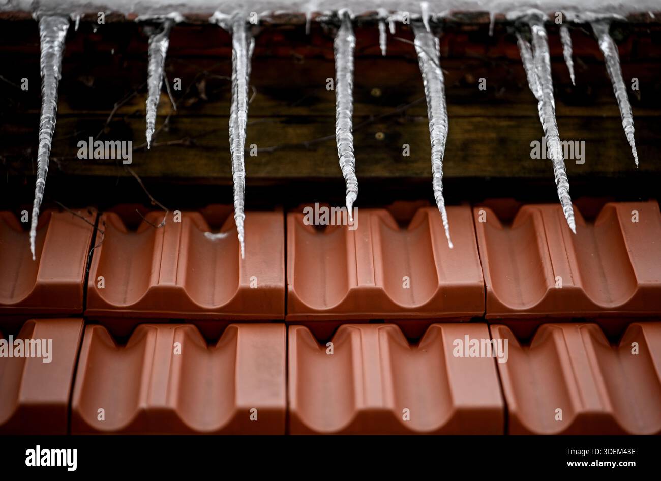 Berlin, Germany. 08th Jan, 2026. Icicles hanging on a house wall ...