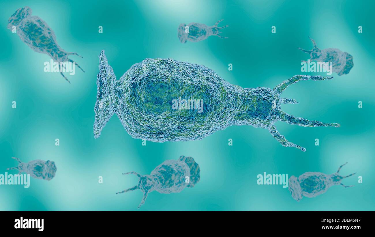 Naegleria fowleri, a brain-eating amoeba, suspended in a microscopic ...