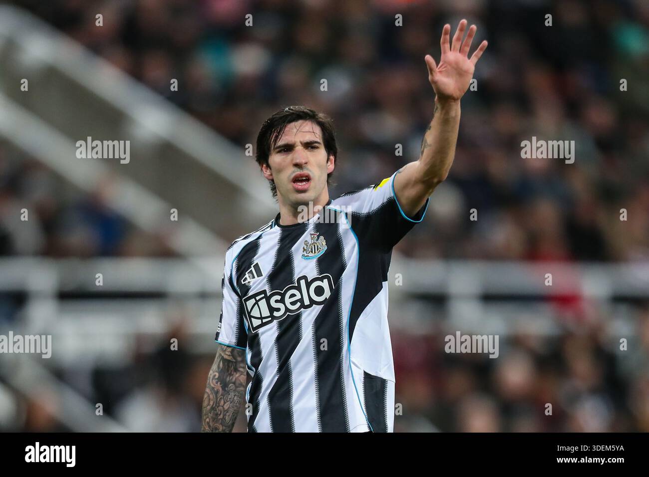 Sandro Tonali Of Newcastle United during the Newcastle United v Leeds ...