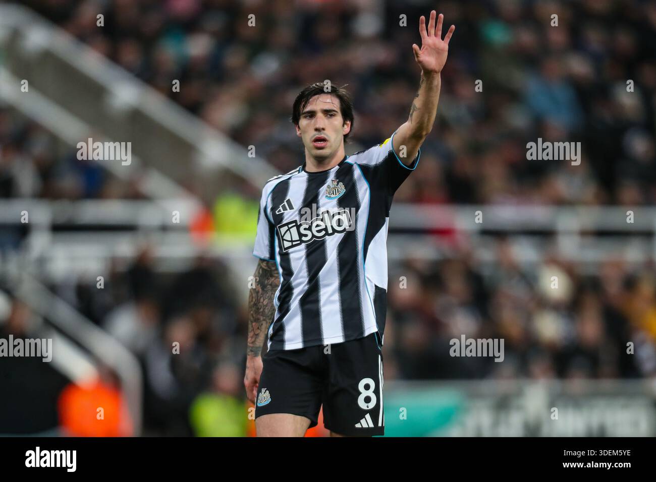 Sandro Tonali Of Newcastle United during the Newcastle United v Leeds ...
