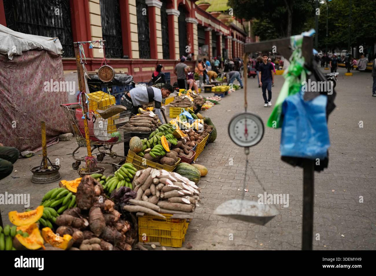 Vendors display vegetables at a street market in Caracas, Venezuela ...
