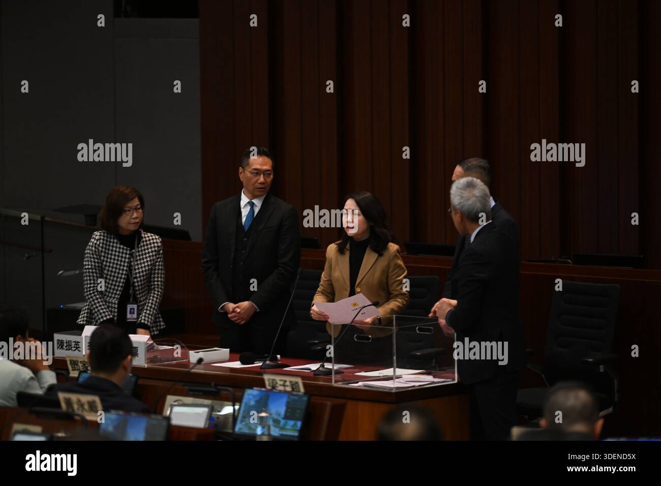 Starry Lee Wai-king gestures after winning the Legislative Council ...
