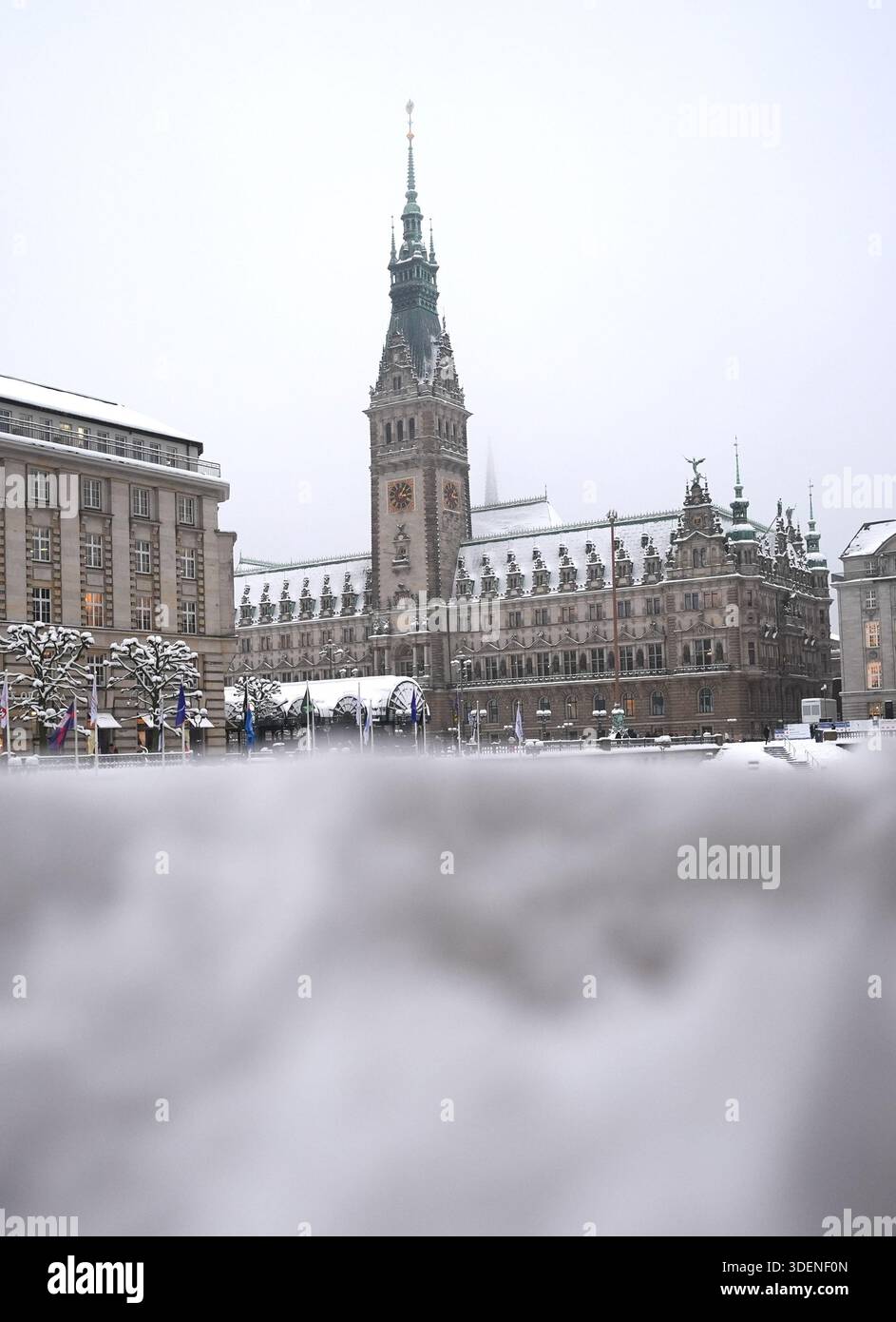 08 January 2026, Hamburg: View of Hamburg City Hall in the city center ...