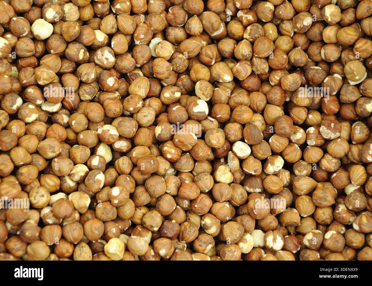 Closeup image of shelled hazelnuts on the market in Turkey Stock Photo ...