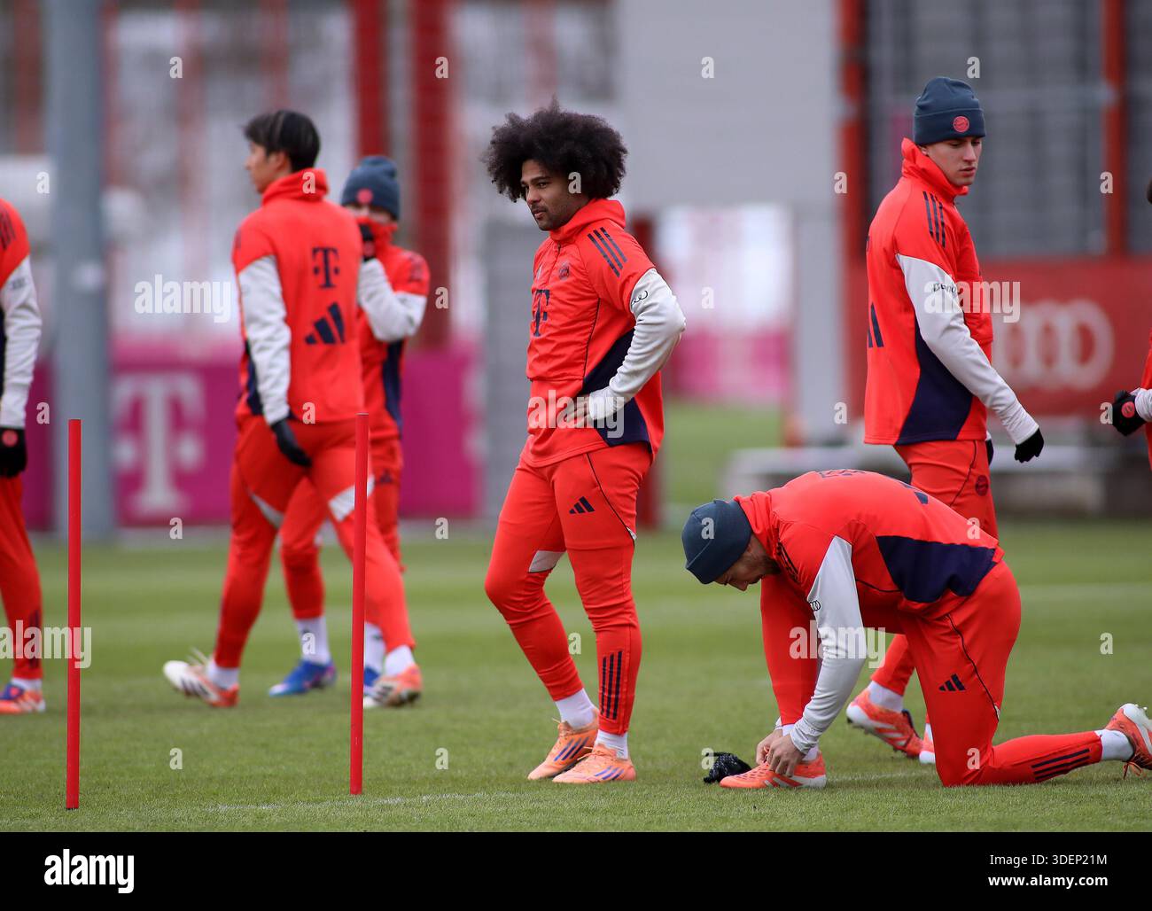 Fussball, Herren, Bundesliga [Bundesliga], Saison 2025/2026, FC FC ...