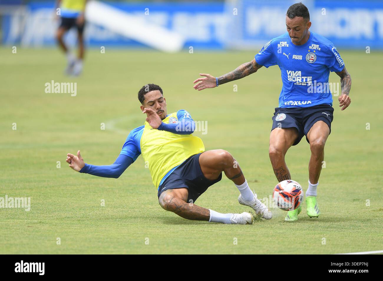 BA - DIAS DAVILA - 08/01/2026 - BAHIA TRAINING - Gilberto, Bahia player ...