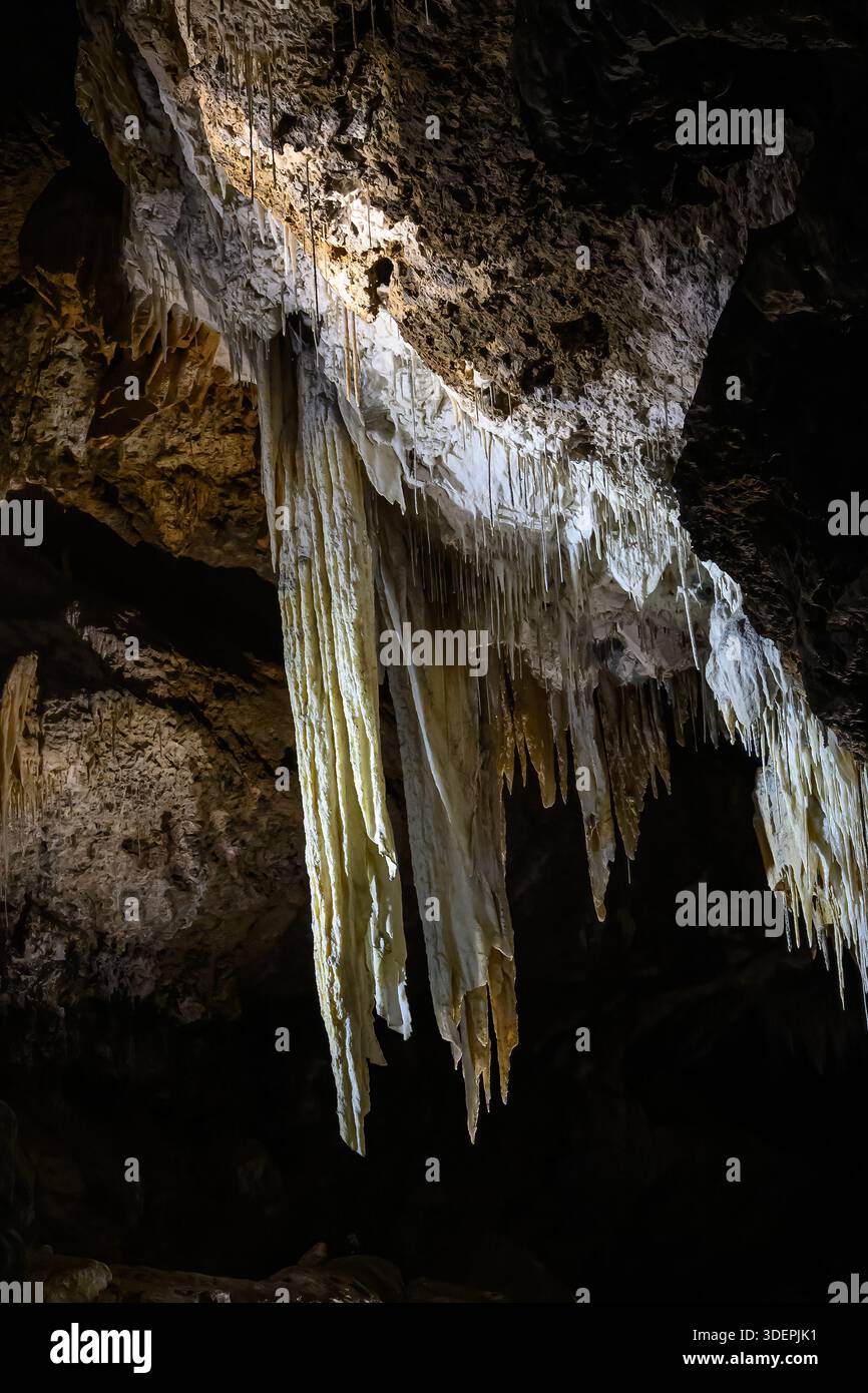 Inside Marakoopa Cave, Mole Creek Karst national park, Mayberry ...