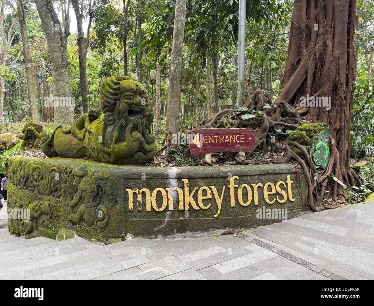 Carving a path monkey forest sanctuary hi-res stock photography and ...