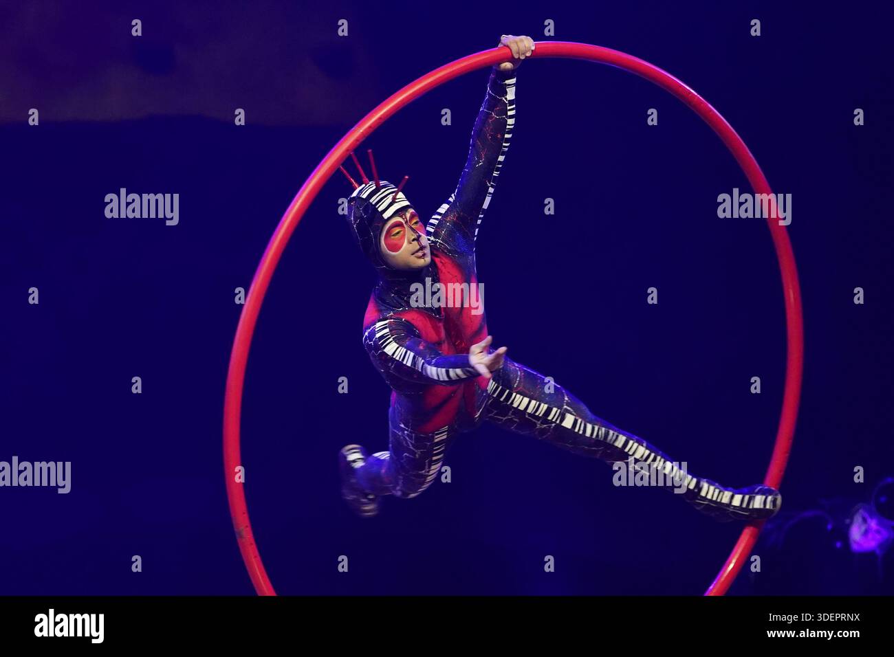 A Cirque du Soleil performer during a dress rehearsal for OVO, at the ...