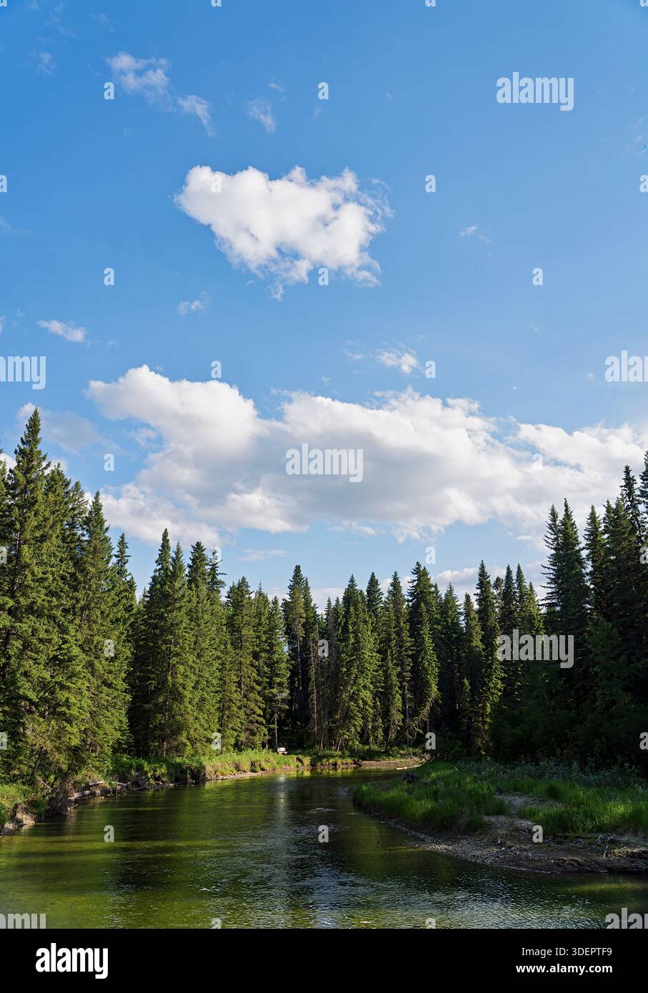 The shore along an Alberta river Stock Photo - Alamy