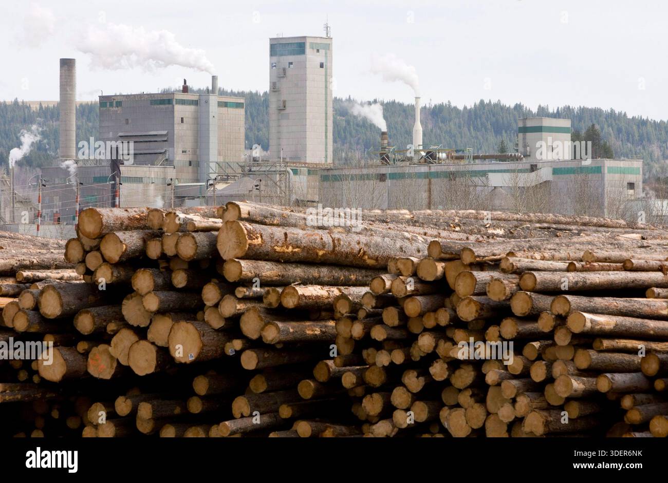 Logs are piled up at West Fraser Timber in Quesnel, B.C., on April 21 ...