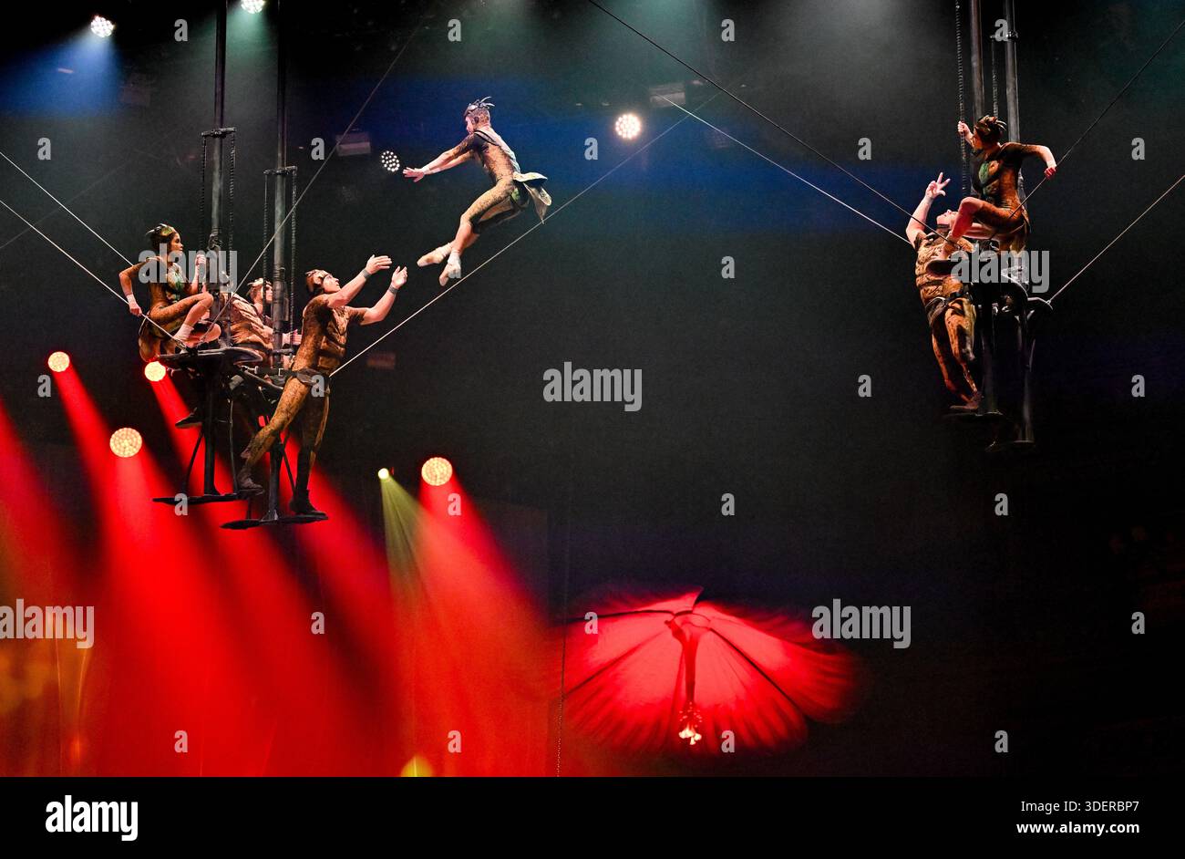 Lola pintos argentina hi-res stock photography and images - Alamy