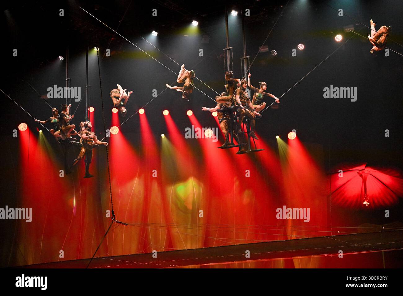 Lola pintos argentina hi-res stock photography and images - Alamy