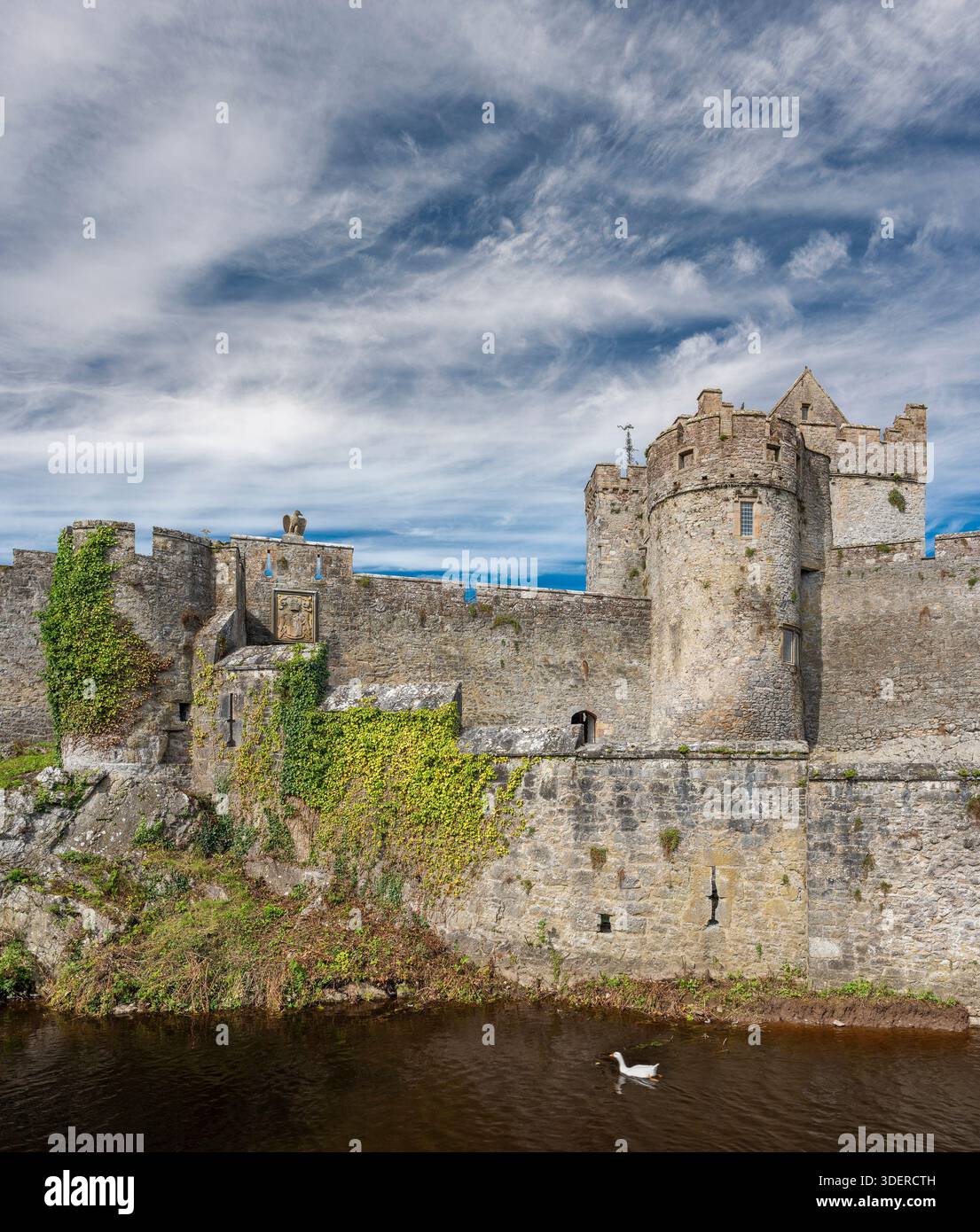 Cahir Castle, Cahir, County Tipperary, situated on an island in the ...