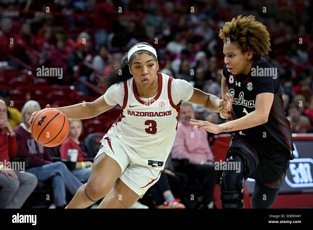 Arkansas guard Harmonie Ware (3) tries to drive past South Carolina ...