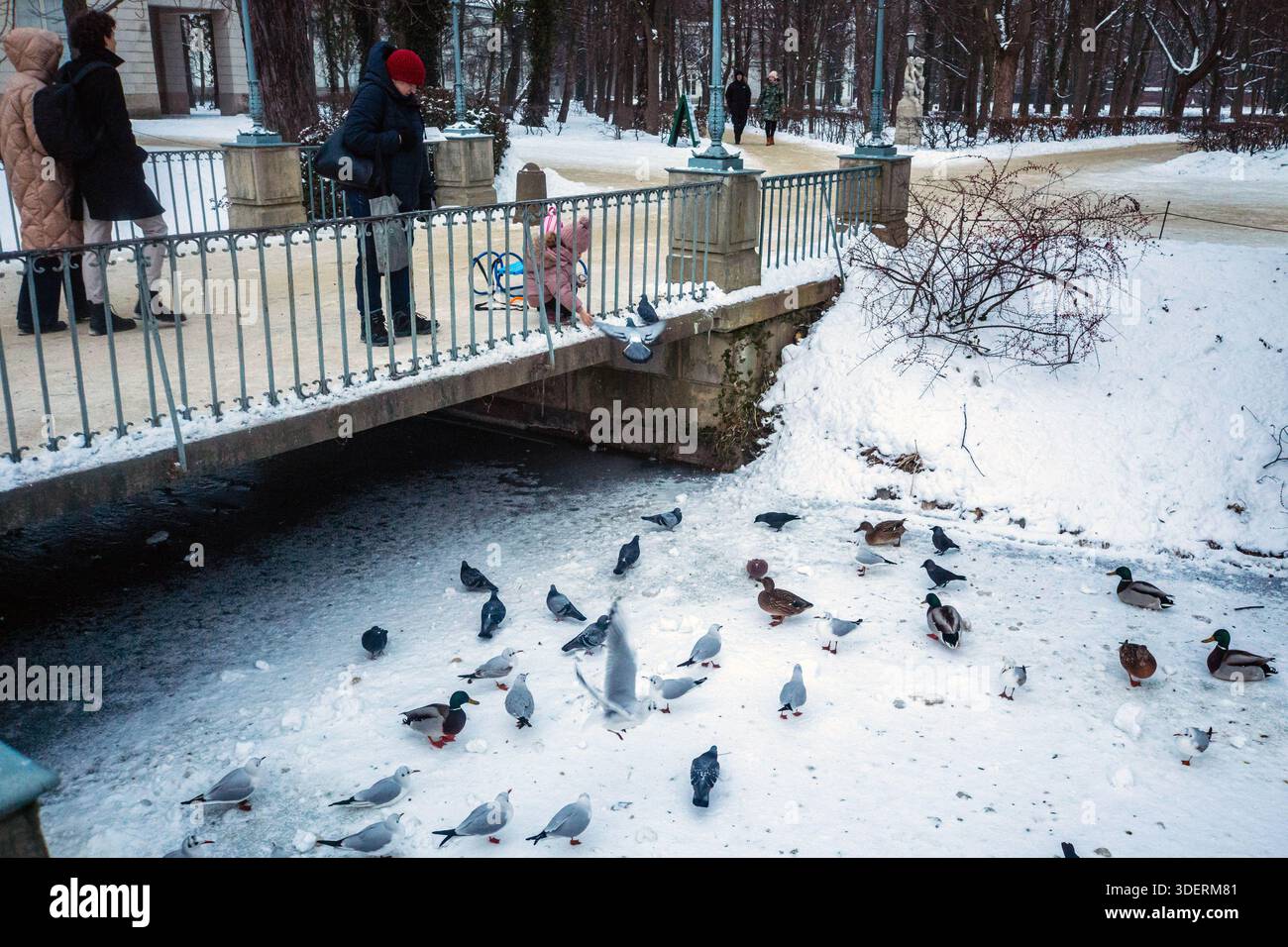 A young Varsovian feeds the pigeons. Photographs of Warsaw's Royal ...