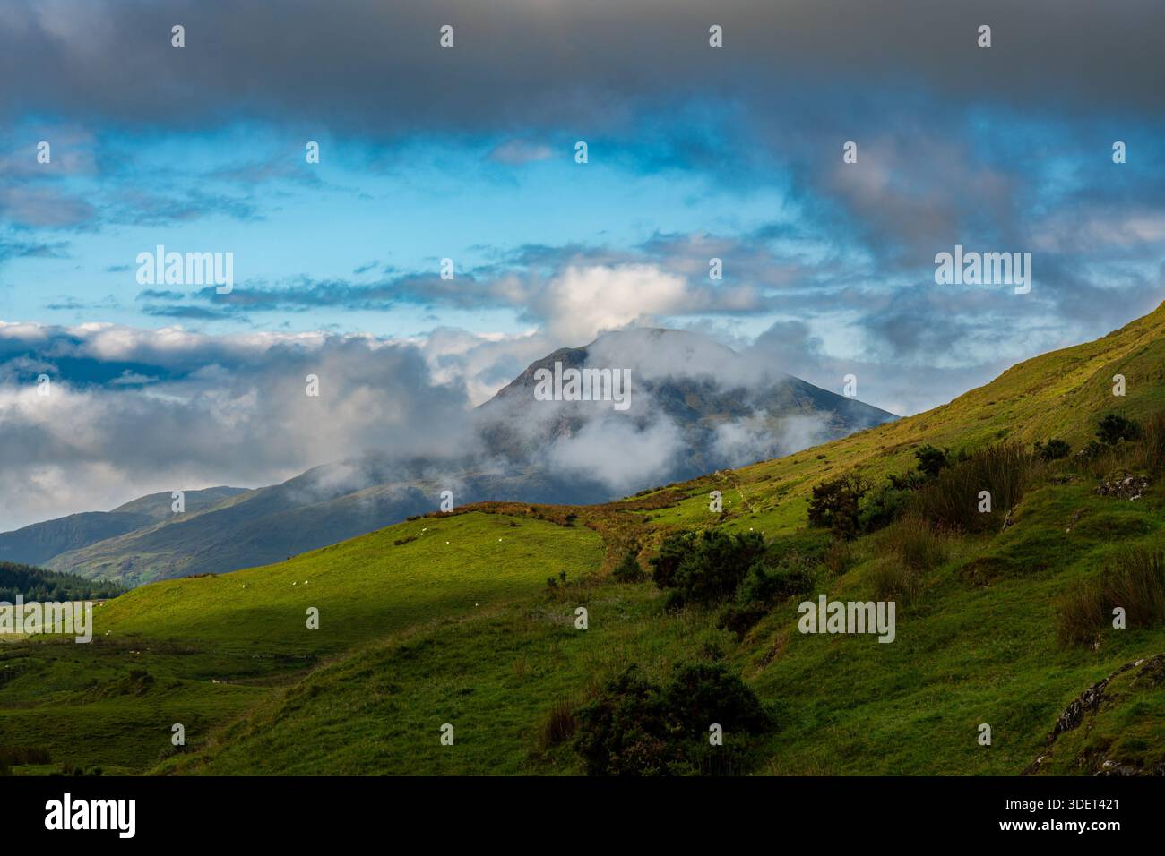 Moel Hebog rising above green hillsides with low cloud drifting across ...