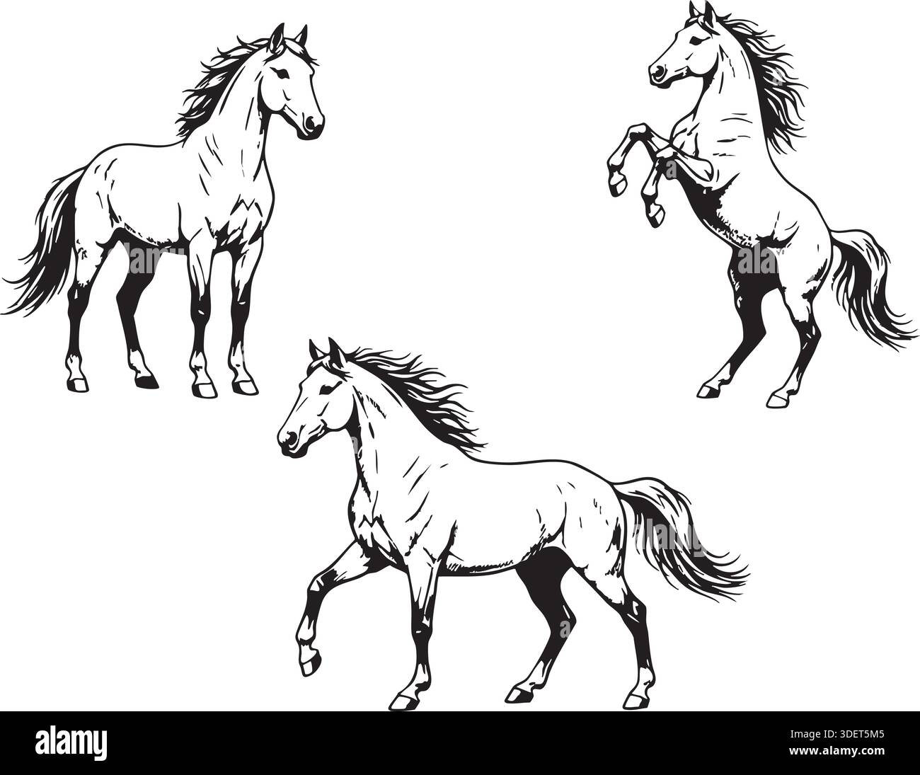 Minimalist collection set three Stock Vector Images - Alamy