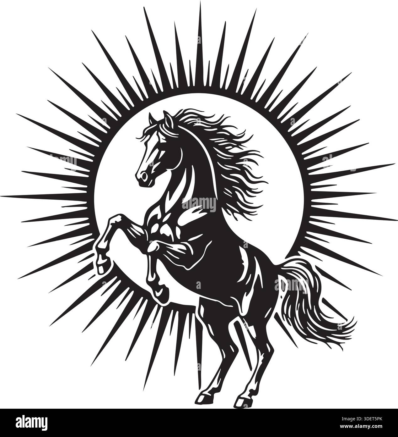 Dynamic contrast logo Black and White Stock Photos & Images - Alamy