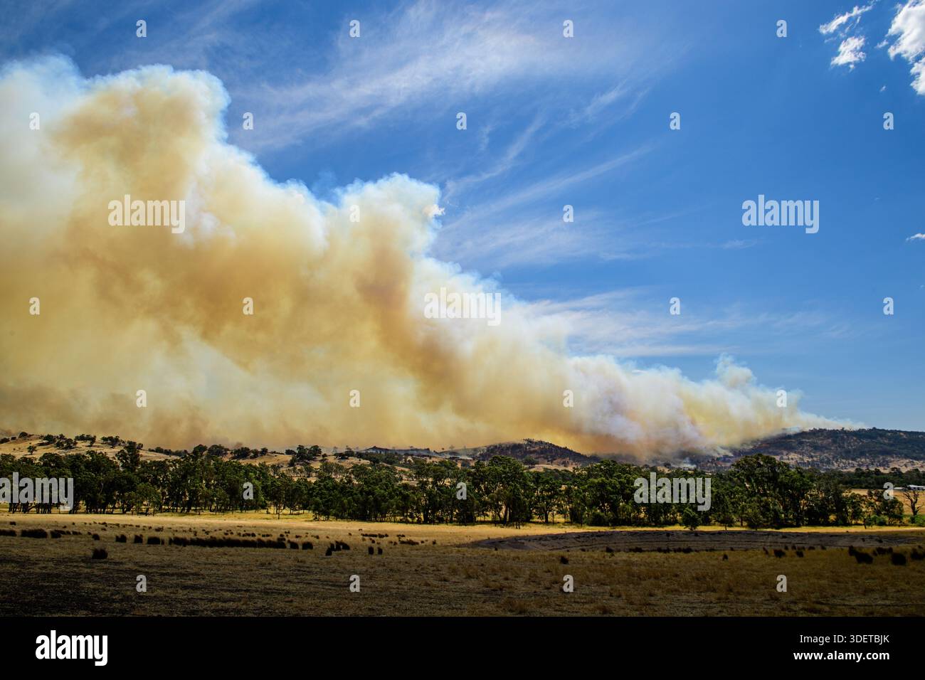 Melbourne, Australia. 09th Jan, 2026. Fires and firefighting efforts ...