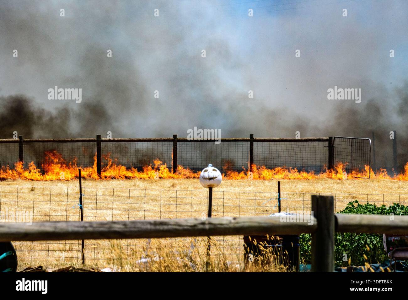 Melbourne, Australia. 09th Jan, 2026. Fires and firefighting efforts ...