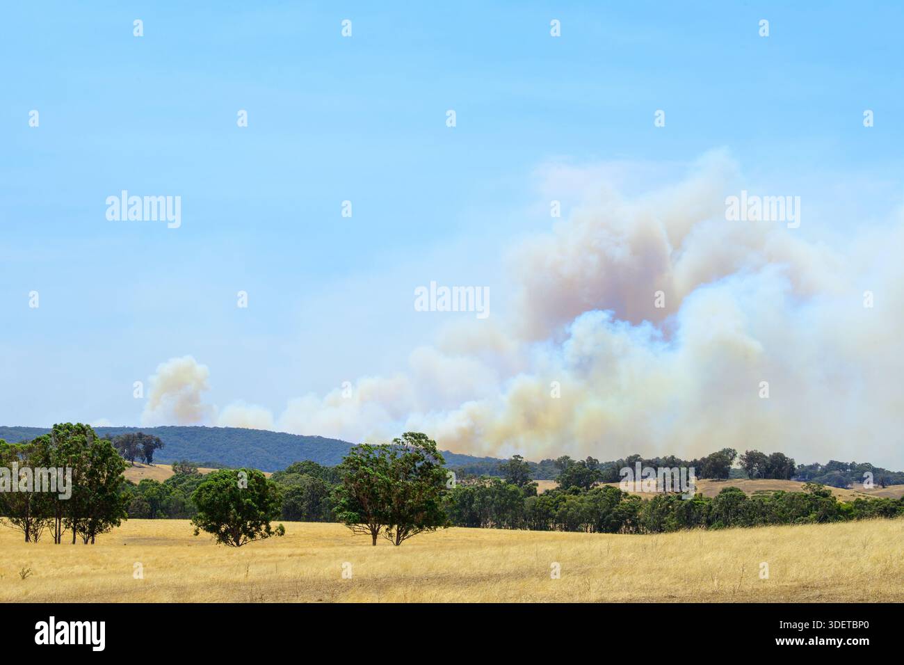Melbourne, Australia. 09th Jan, 2026. Fires and firefighting efforts ...
