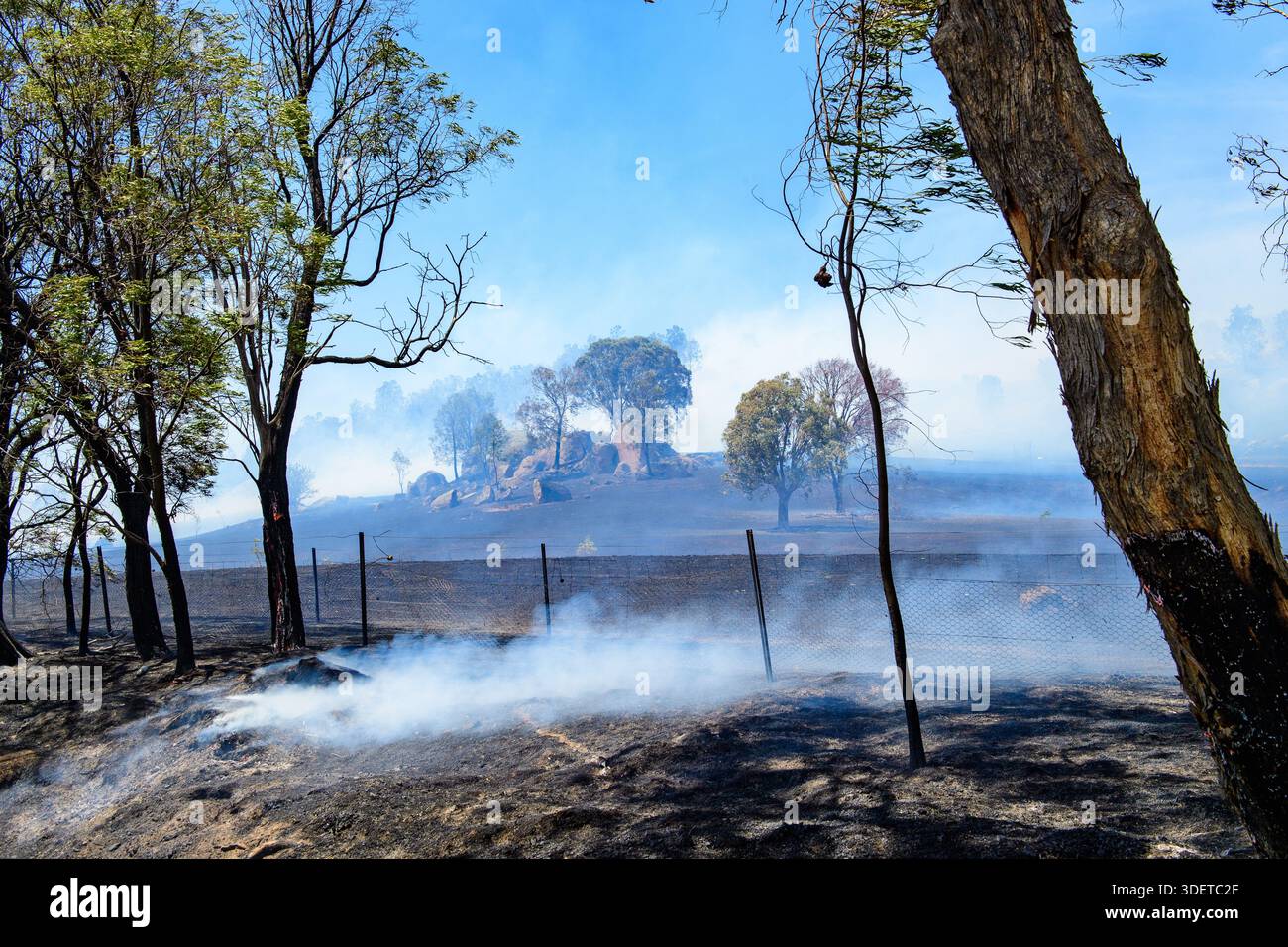 Melbourne, Australia. 09th Jan, 2026. Fires and firefighting efforts ...