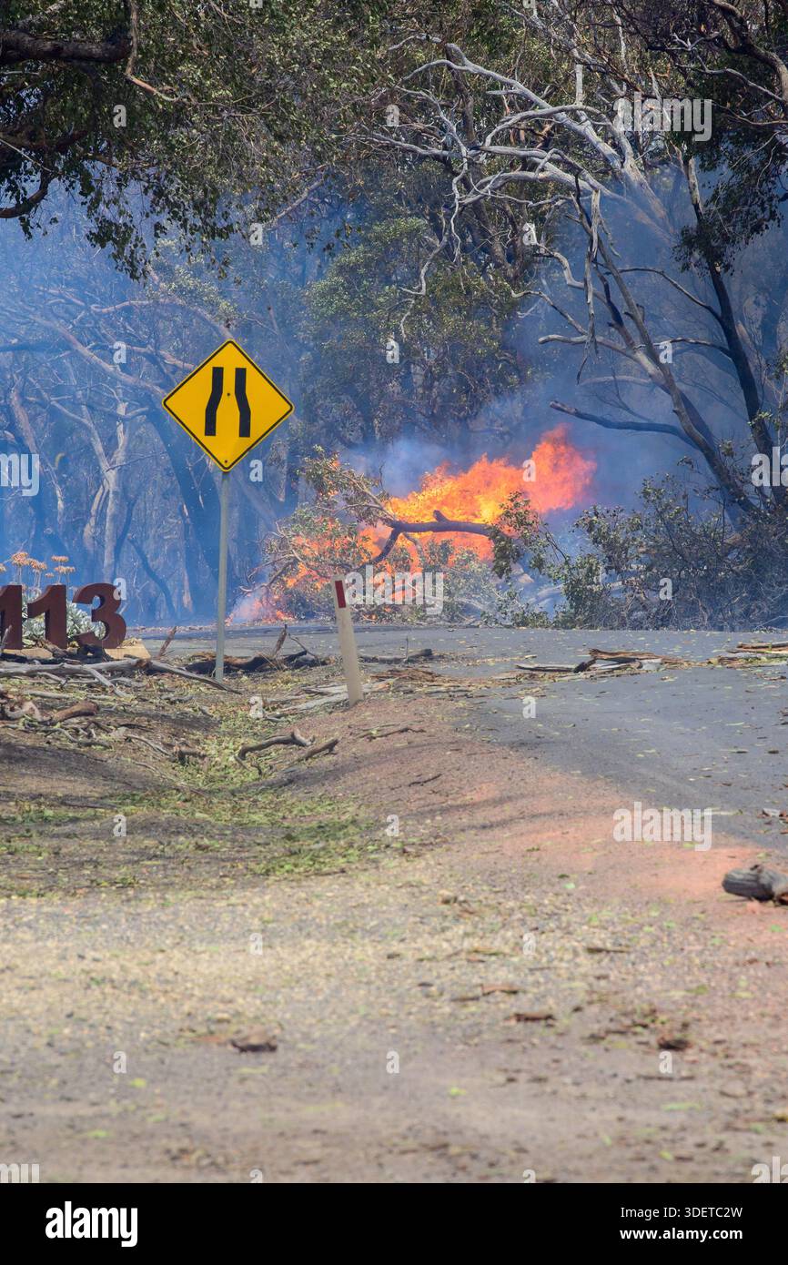 Melbourne, Australia. 09th Jan, 2026. Fires and firefighting efforts ...