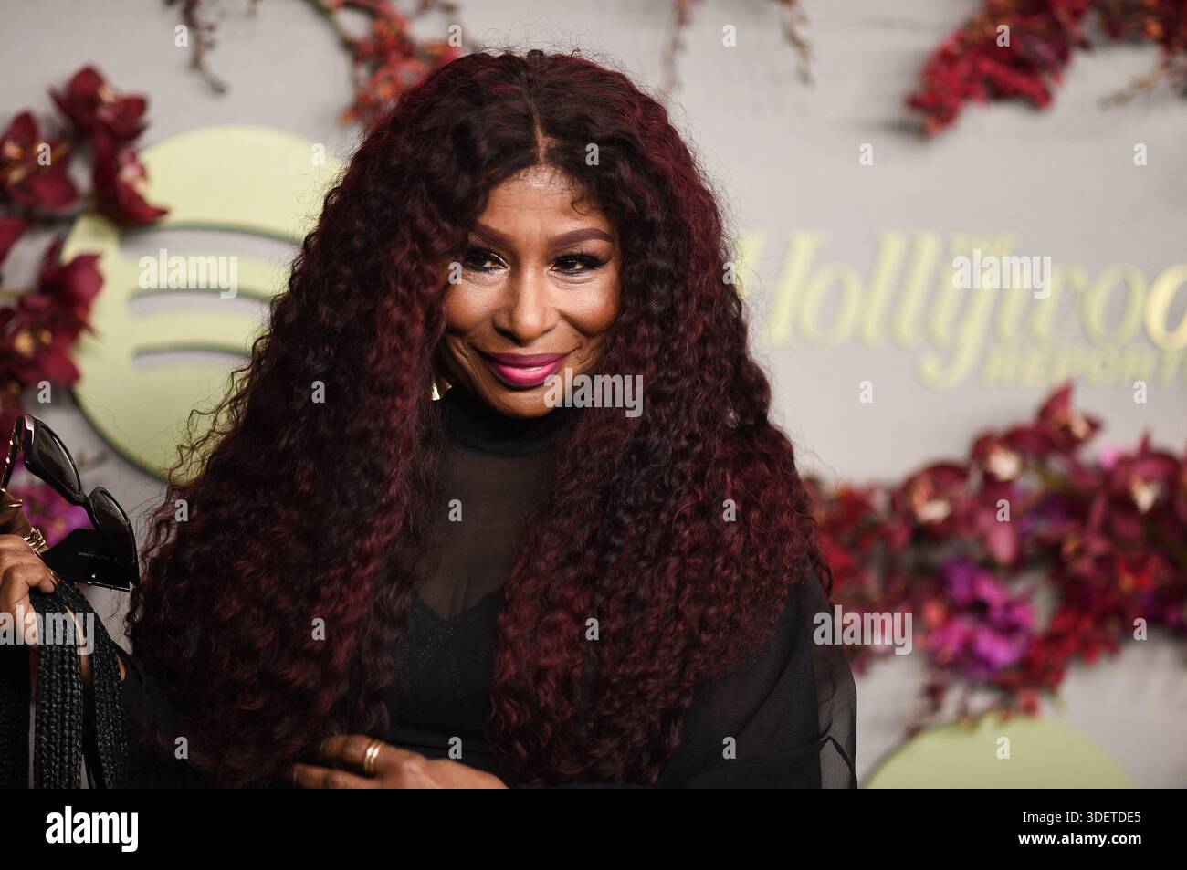 Chaka Khan arrives at the 83rd Annual Golden Globes Nominees Night on ...
