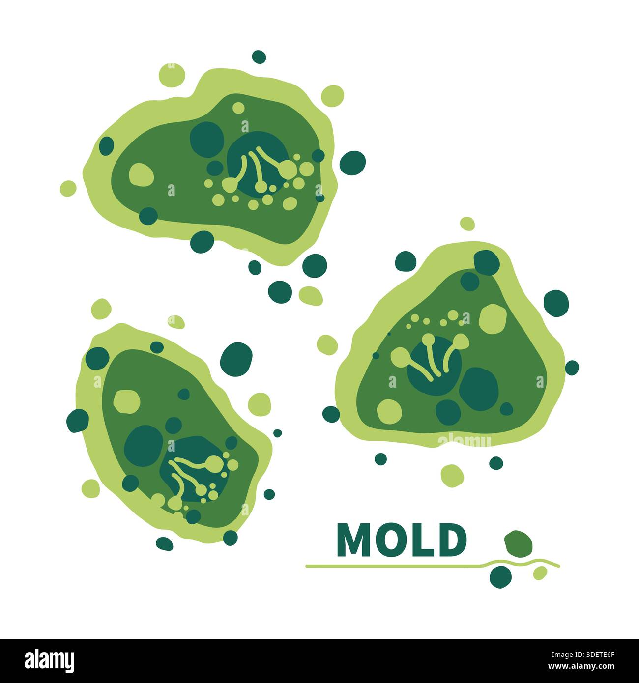 Green fungus spores growth vector illustration set Stock Vector Image ...