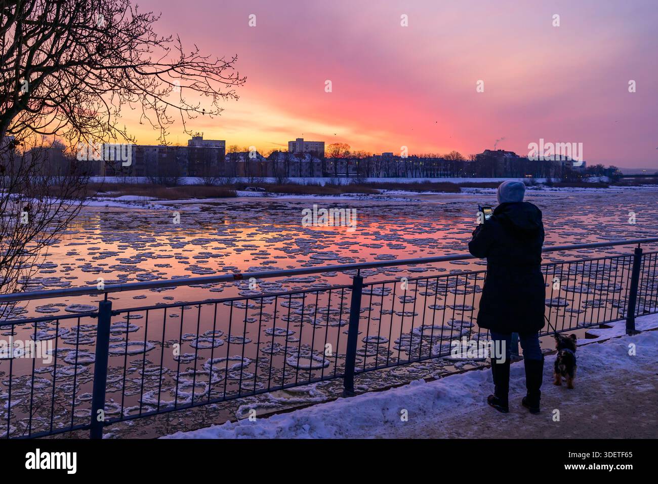 09 January 2026, Brandenburg, Frankfurt (Oder): Ice floes, known as ...