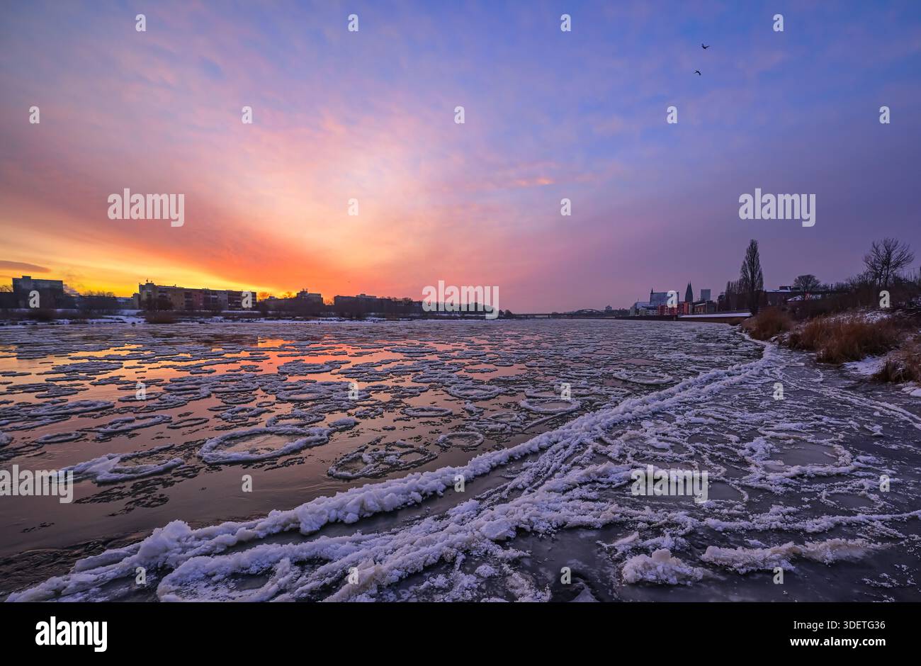 09 January 2026, Brandenburg, Frankfurt (Oder): Ice floes, known as ...