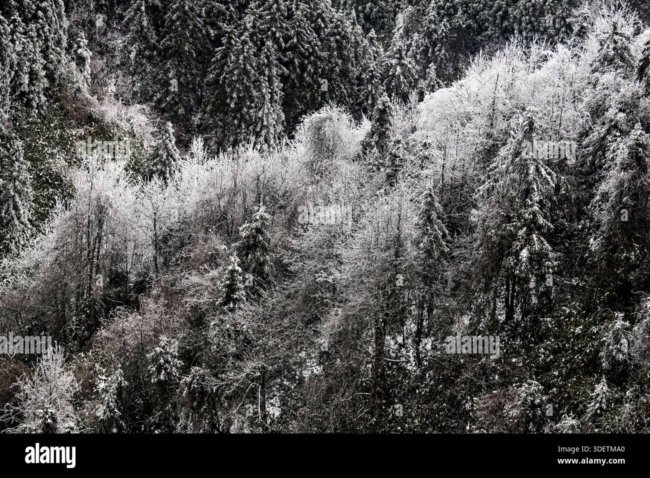 Aerial photo shows the snow-covered landscape in Youyang County ...