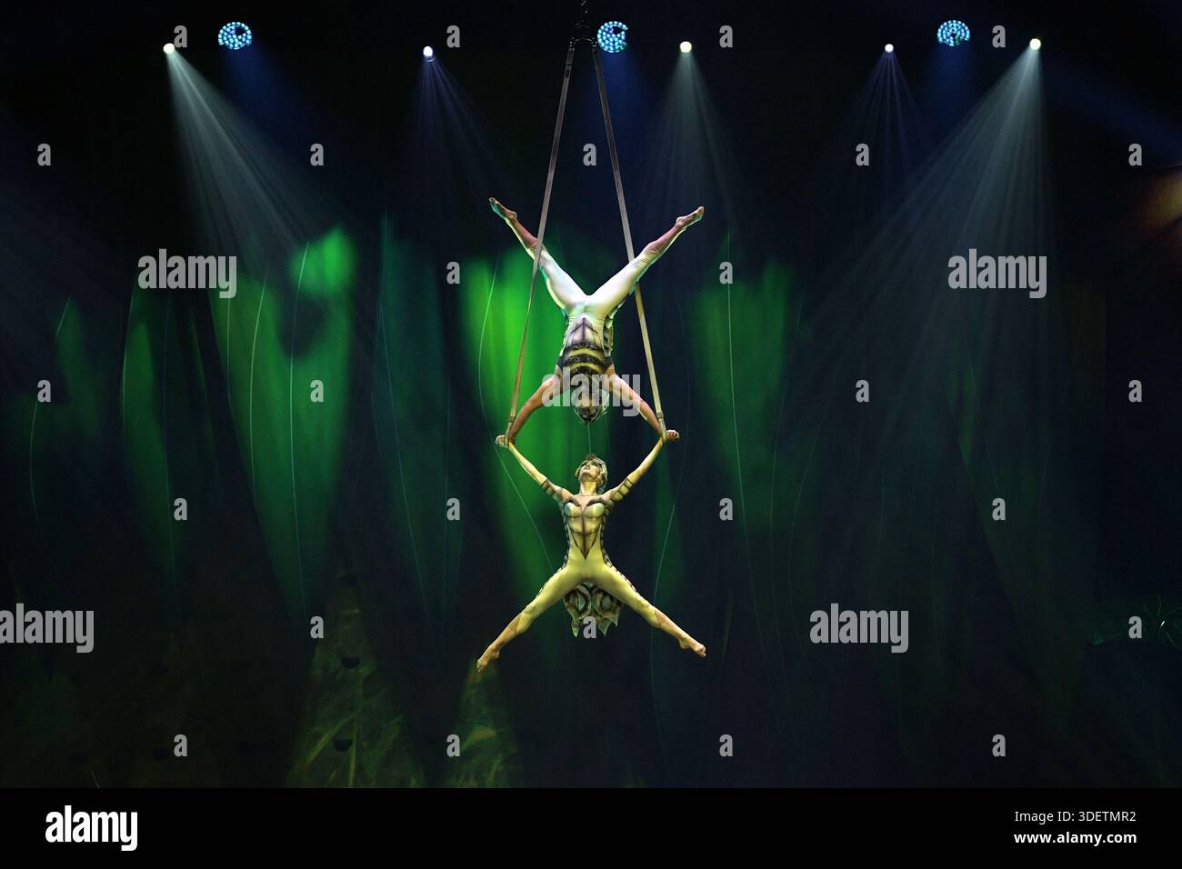 LONDON, ENGLAND - JANUARY 08: Cirque Du Soleil "OVO" at The Royal ...