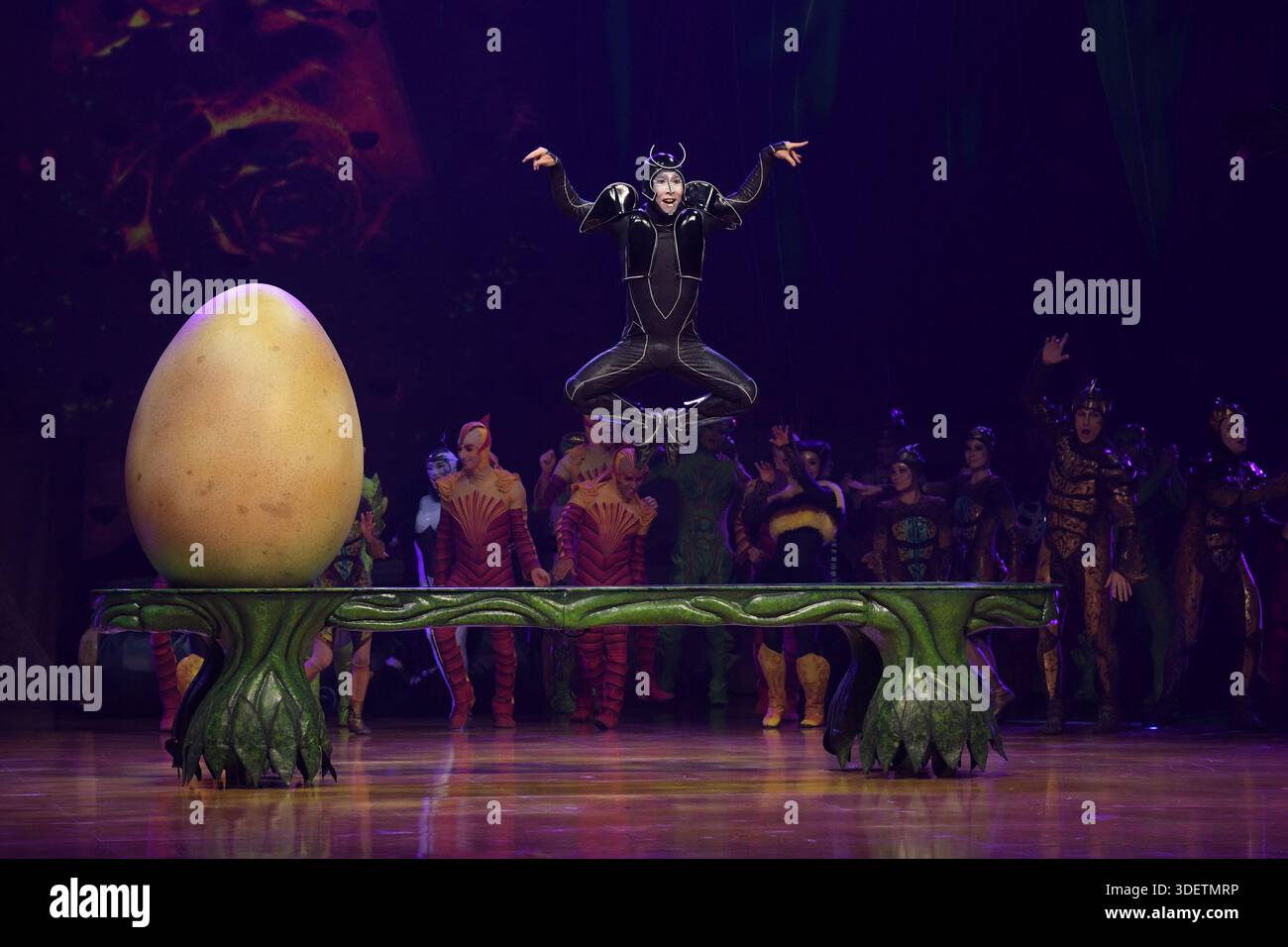 LONDON, ENGLAND - JANUARY 08: Cirque Du Soleil "OVO" at The Royal ...