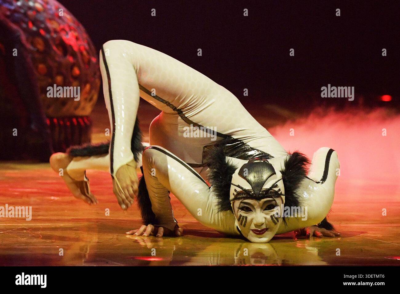 LONDON, ENGLAND - JANUARY 08: Cirque Du Soleil "OVO" at The Royal ...