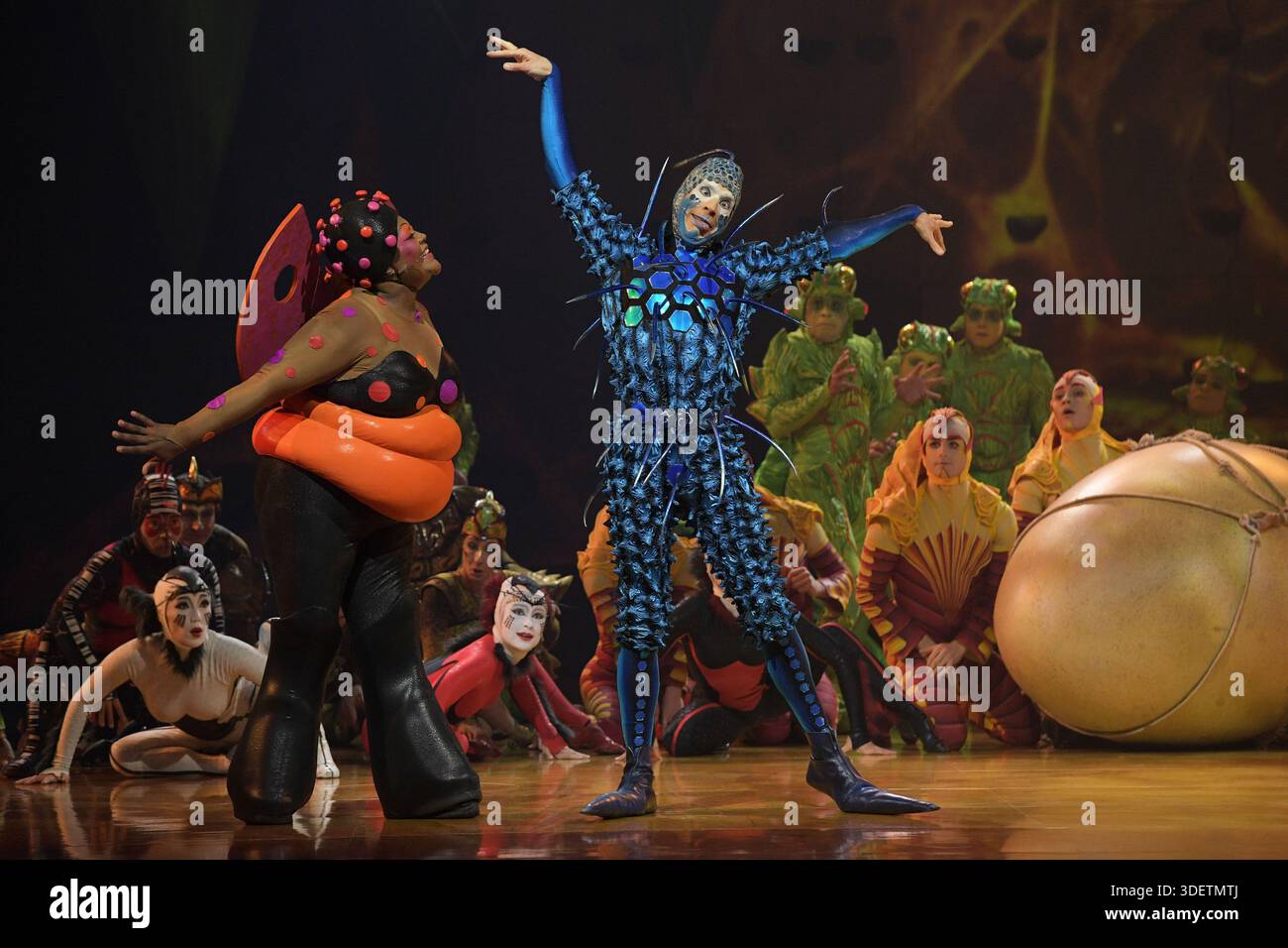 LONDON, ENGLAND - JANUARY 08: Cirque Du Soleil "OVO" at The Royal ...