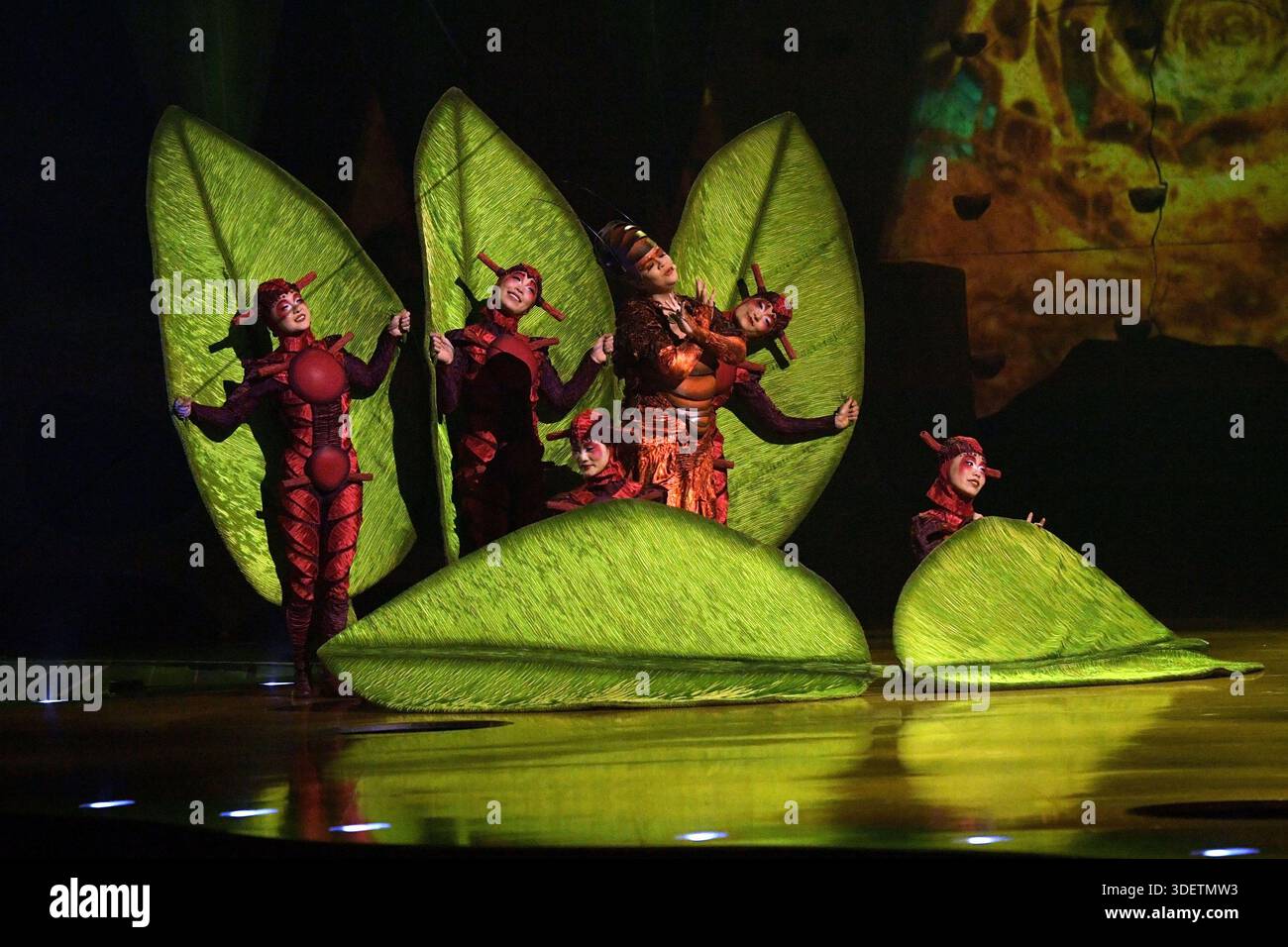 LONDON, ENGLAND - JANUARY 08: Cirque Du Soleil "OVO" at The Royal ...